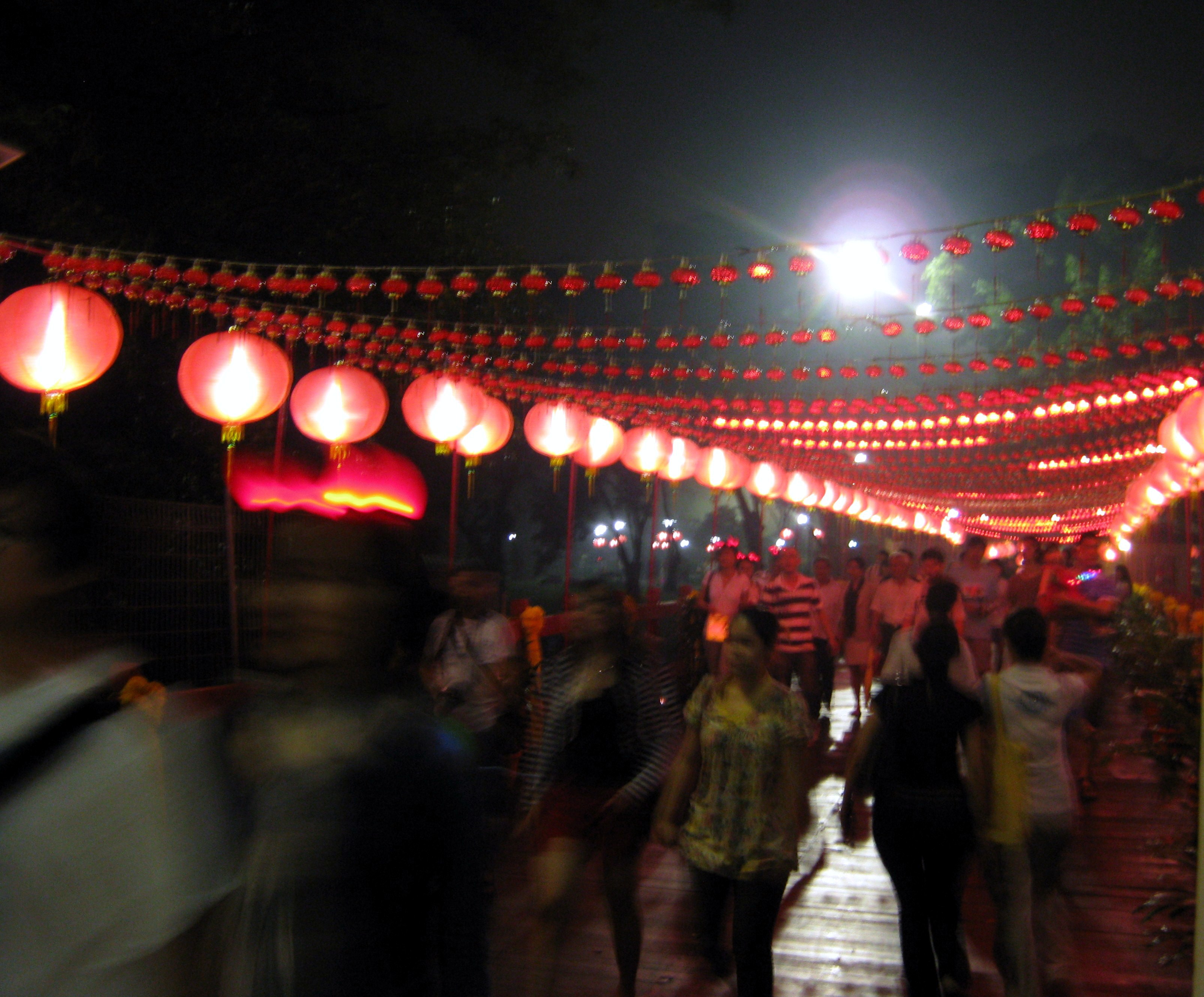 Chinese Garden Singapore Bridge Ankurb