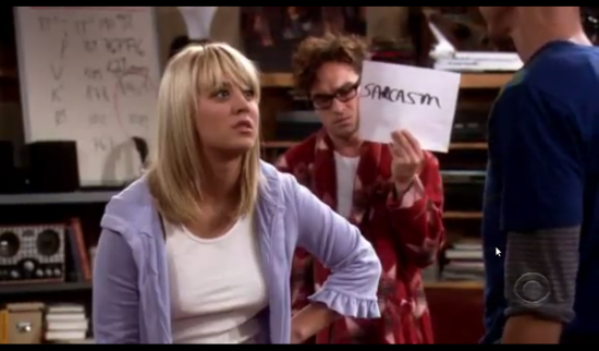 Big Bang Theory Leonards Sarcasm Sign 550 322 Ankurb